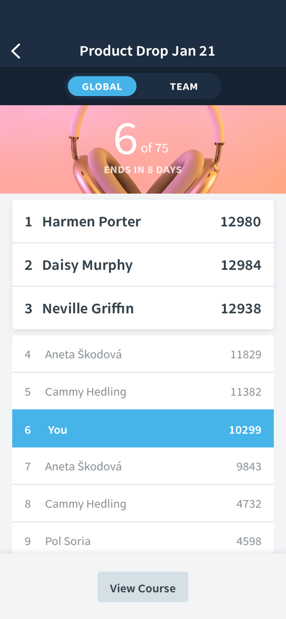 Learner Guide To Leaderboards