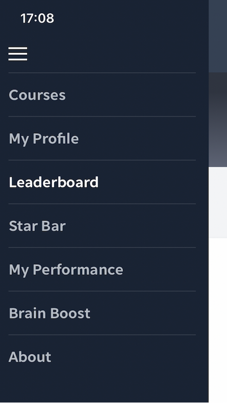 Learner Guide To Leaderboards